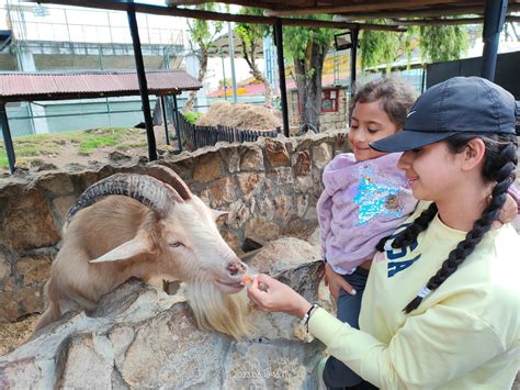 Sofia And Louise Sofia And Louise Will Be At The Kingsmere Community