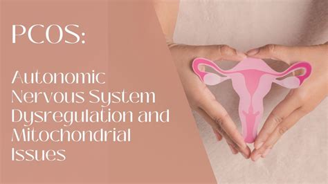 Pcos Autonomic Nervous System Dysregulation And Mitochondrial Issues