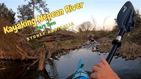Kayaking Nepean River Sydney Australia From Devlin Road To Yarramundi