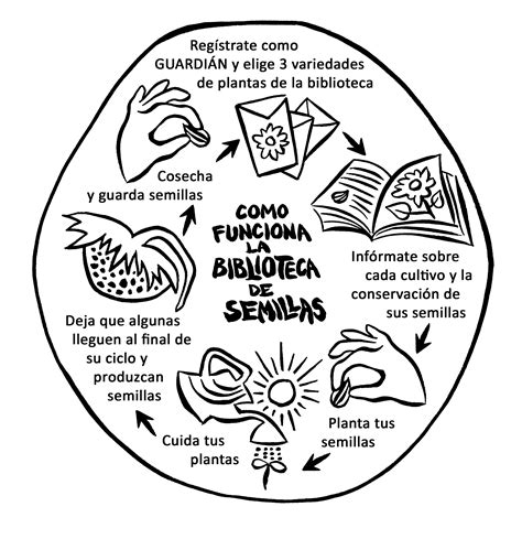 Guardian De Semillas Somos Semilla