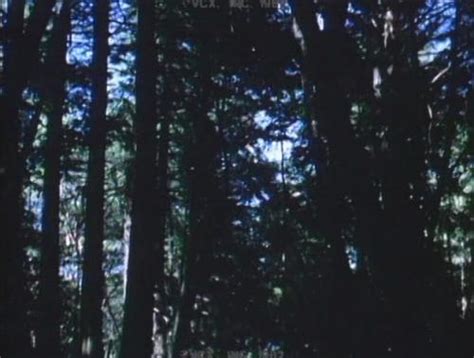 Forumophilia Porn Forum Feature And Vignettes Classic 70 90st Page 68