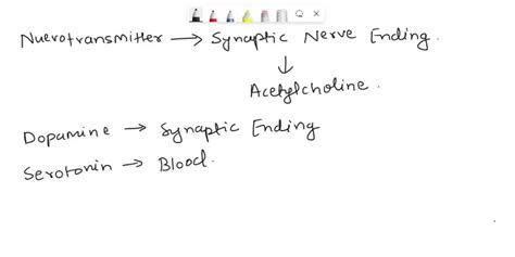 Neurotransmitter Action Potential Hyperpolarization Depolarization