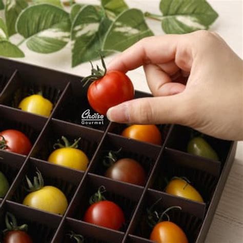 มะเขือเทศจิ๋วญี่ปุ่น Choise Gourmet ผลไม้นำเข้า