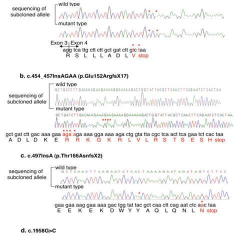 Germline Apc Mutations And Clinical Phenotypes Identified In 8 Japanese