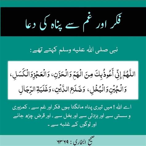 ‎سدرہ حنیف‎ Sidrahanif7 • Instagram Photos And Videos