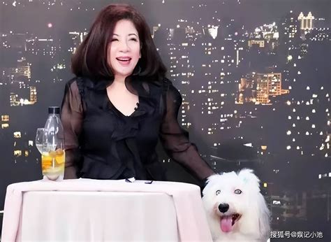 64岁陈文茜发文求解脱，已立遗嘱给狗留500万，其余财产捐给社会疾病狗狗身体