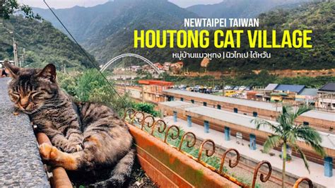 หมู่บ้านแมวหูทง Houtong Cat Village นิวไทเป ไต้หวัน New Taipei Taiwan
