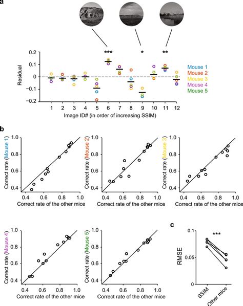 High Inter Mouse Agreement A To Examine The Difference Between The