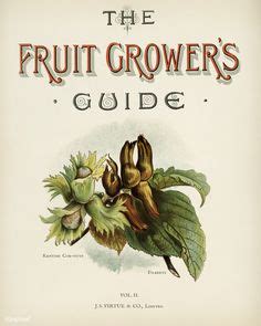 210 The Fruits Growers Guide Ideas Vintage Illustration Growers