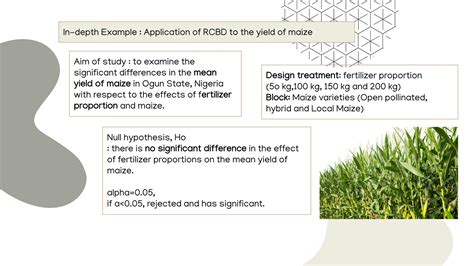 Randomised Complete Block Design Rcbd Pdf