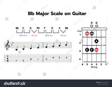 Oneoctave Bb Major Scale On Guitar Stock Vector Royalty Free