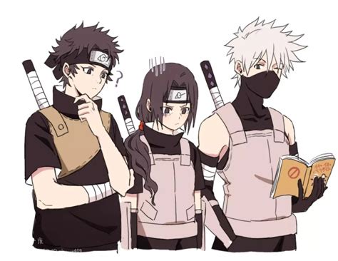 鼬 堆糖，美图壁纸兴趣社区