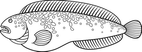 Redtail Catfish Royalty Free Vector Image Vectorstock