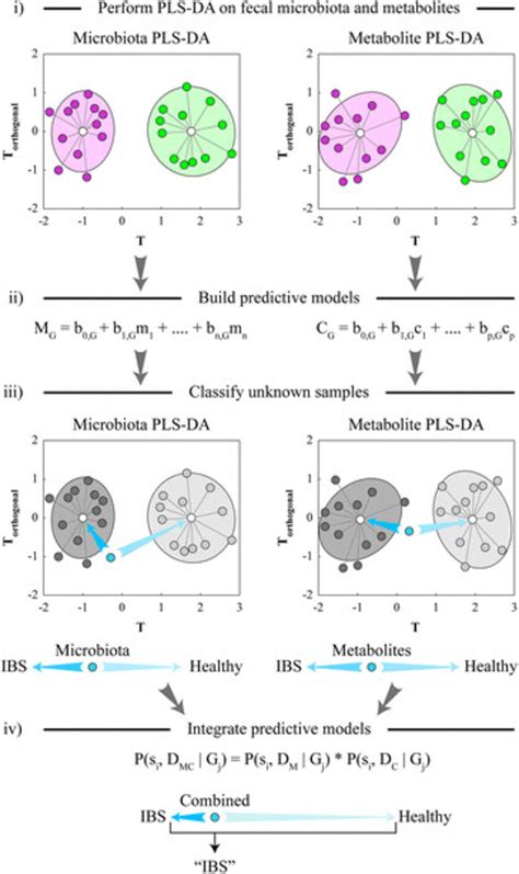 Schematic Overview Of The Classification Model Generation Pink And