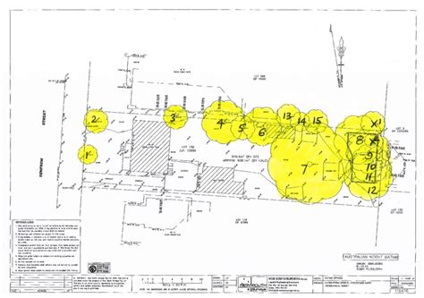 Plan Showing The Position Of The 15 Trees Examined In This Report See