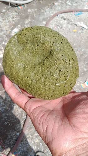 Pp Lumps At ₹ 34kilogram In Kanpur Id 2849574732112