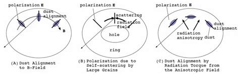 Schematic Pictures To Explain The Dust Grain Alignment And The
