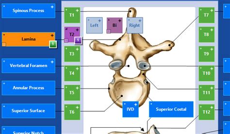Chiropractic Ehr Systems Electronic Health Record Software Microfour