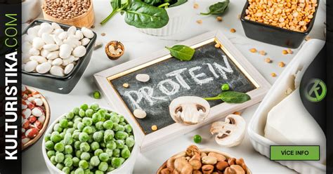 Jak vybrat nejlepší veganský protein? | kulturistika.com