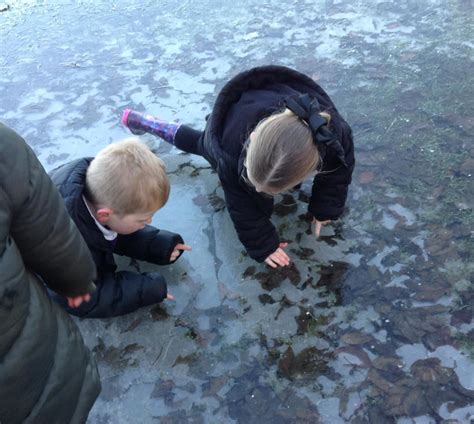 Stallingborough Cofe Primary School Early Years Foundation Stage