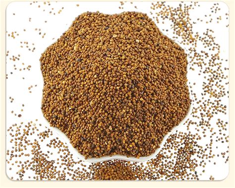 菟丝子中药材非特级非野生淫羊藿菟丝子粉兔丝子药材男性吐丝子虎窝淘