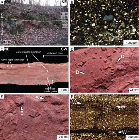 Sedimentological Features Of The Transitional Terrigenous Series Pzt