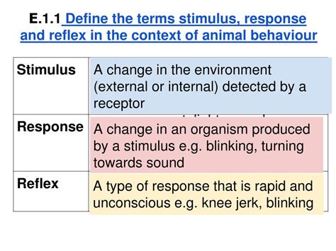 Ppt E1 Stimulus And Response Powerpoint Presentation Free Download