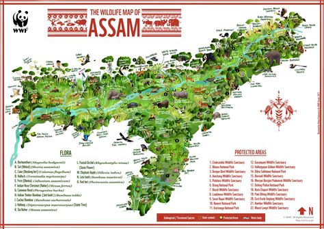 Assam Map Wallpapers Wallpaper Cave