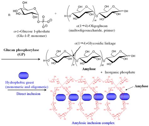 Fabrication Of Nanostructured Supramolecules Through Helical Inclusion Of Amylose Toward