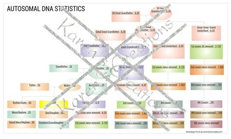 Autosomal Dna Relationship Chart For Ancestry Genealogy Computer Fillable White Background