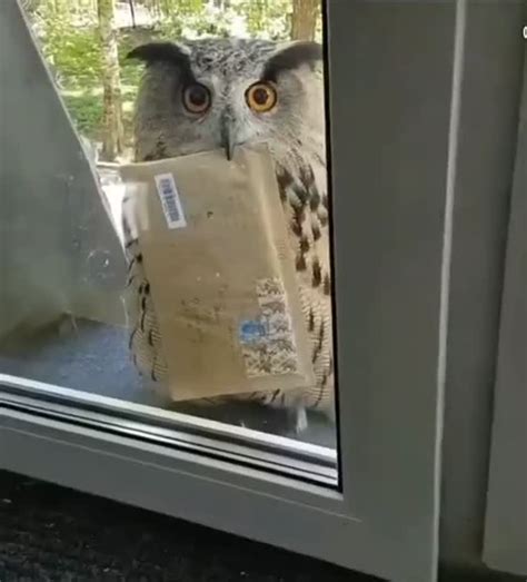 Mary Kulish Posted On Linkedin