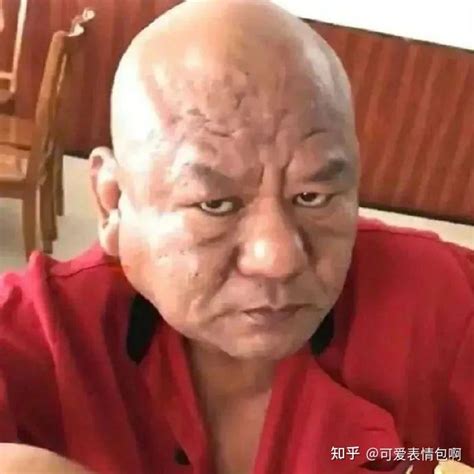 李佳琦花西子表情包：哪李贵了，这些穷鬼 知乎