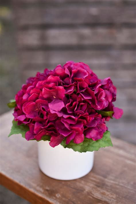 Raspberry Hydrangeas Centerpiece Mothers Day T Dark Pink