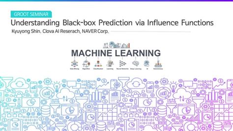 understanding blackbox prediction via influence functions pdf web