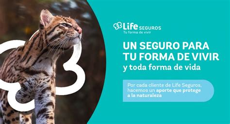 Life Seguros Se Compromete Con La Preservación De Bosques Presente Rse