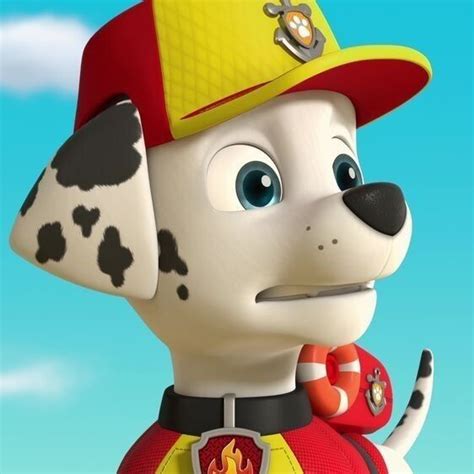 Pin By Thomas Ash On Paw Patrol Pups Paw Patrol Cartoon Paw Patrol