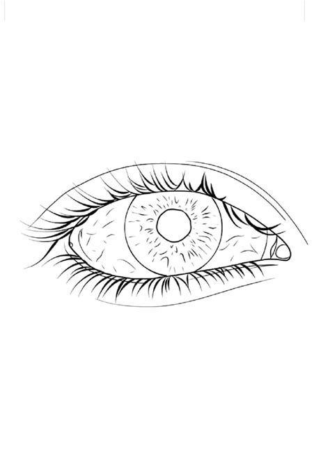 Ojo Sencillo Para Colorear Imprimir E Dibujar Coloringonlycom