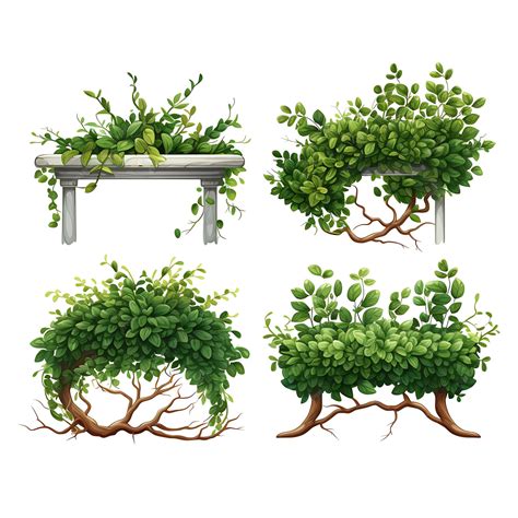 Premium Ai Image Frame Holly Shrubs Shaped Into Rectangular Screens