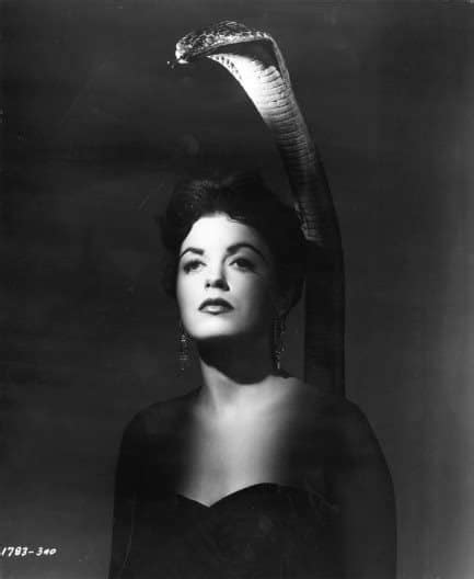 Cult Of The Cobra 1955 31 Days Of American Horror Review Big