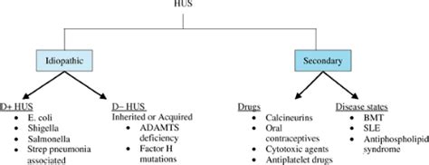 Hemolytic Uremic Syndrome Musculoskeletal Key