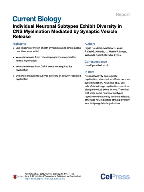 Individual Neuronal Subtypes Exhibit Diversity In Cns Myelination