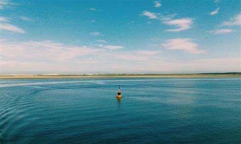 Photos And Videos By Alex Hamstra Alexhamstra Twitter