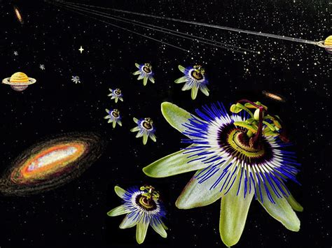 Passion For Space Digital Art By Adrian Neale Fine Art America