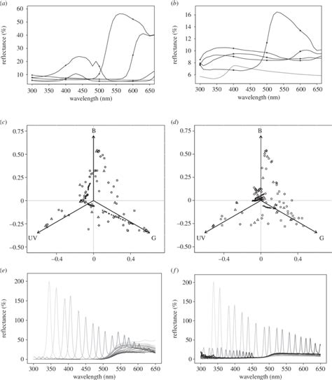 Ab Reflectance Spectra Obtained In Spectrometry With An Integrating