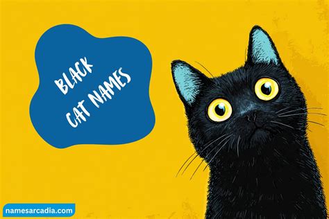 500 Black Cat Names That Are Cute Cool And Easy To Love Names Arcadia