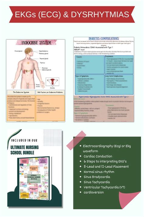 Ekgs Ecg And Dysrhythmias Ekg Cheat Sheet Ekg Etsy Nursing Notes