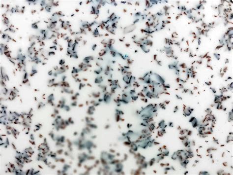 Decorative Plexiglass Online