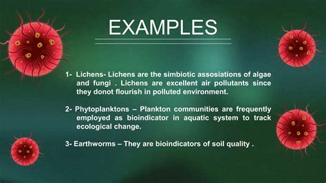 Bioindicators And Their Significance In Ecosystem Asthapptx