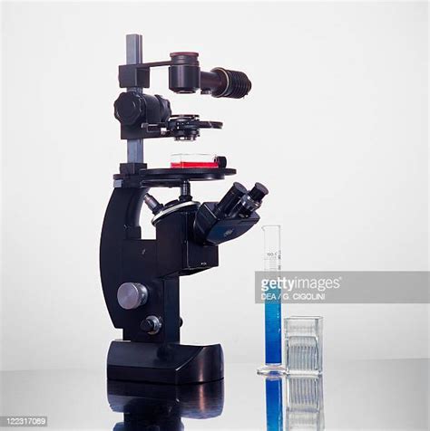 Inverted Microscope Photos And Premium High Res Pictures Getty Images
