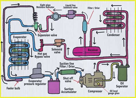 Refrigeration System Diagram Wiring Diagram